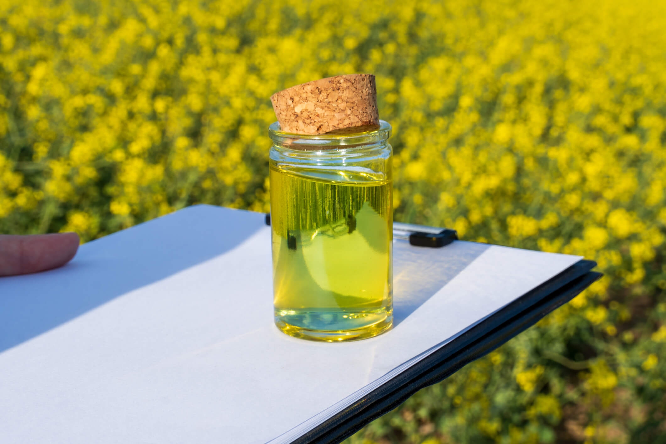 Insets vs Offsets | World Energy