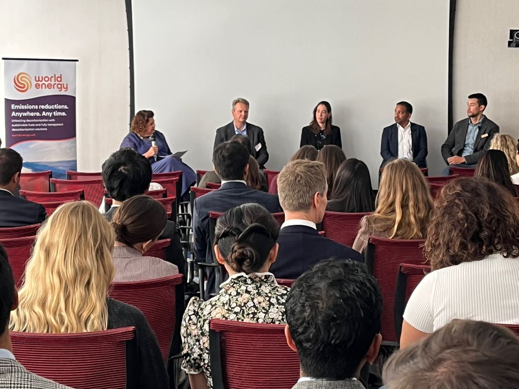 Insets vs Offsets | World Energy